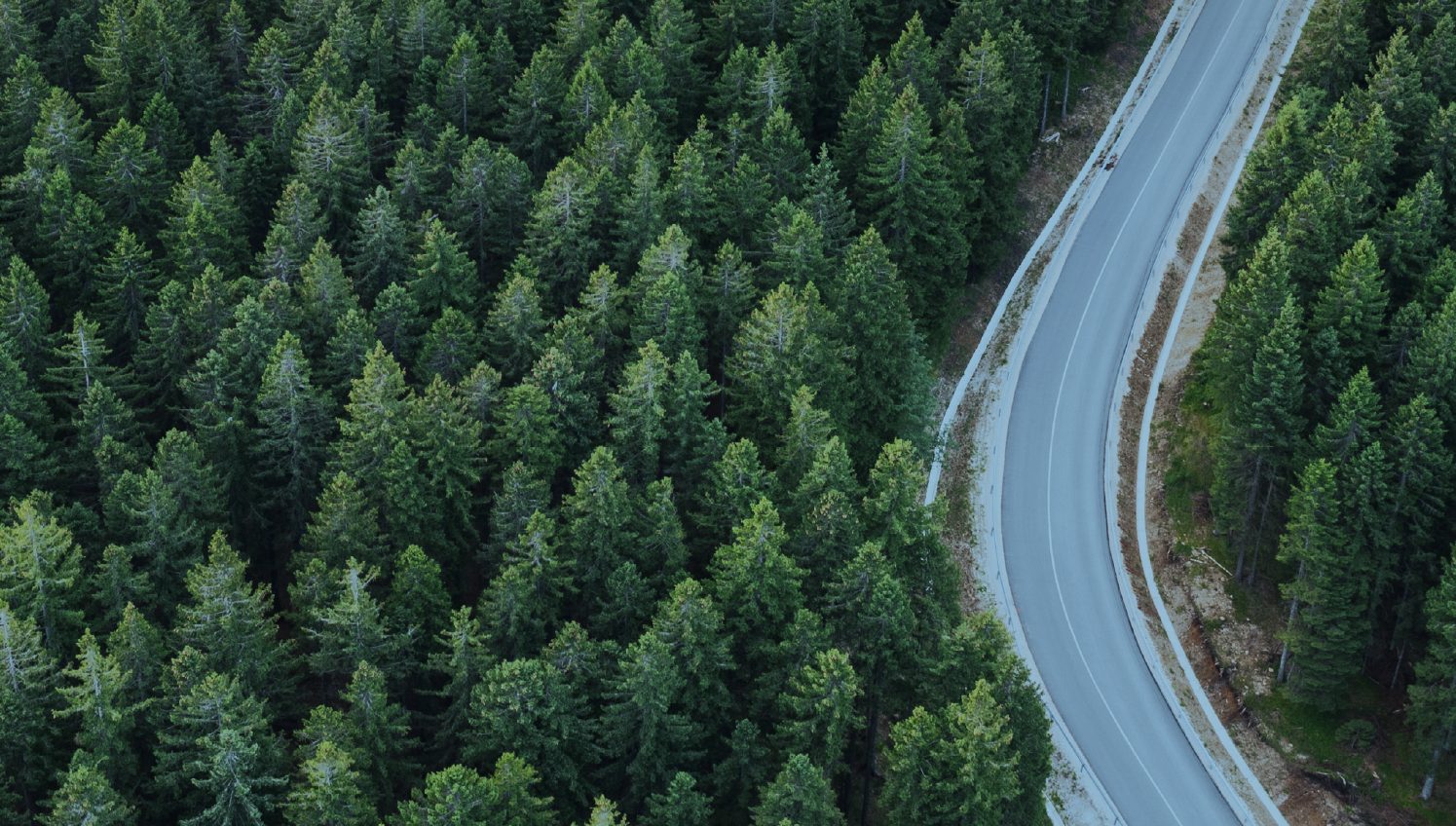 The Chairperson’s Guide to Climate Integrity – Climate Governance ...